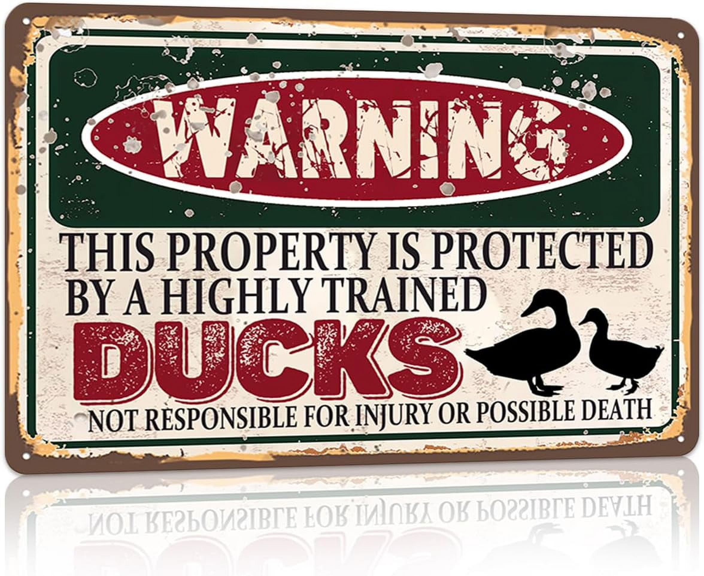 Vintage Fat Cat Metal Sign， Warning this property is protected bY a ...