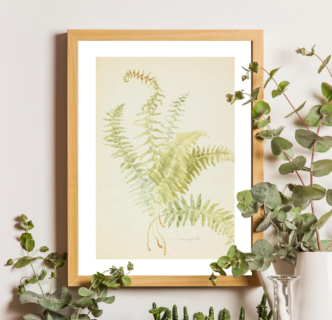 Vintage Fern Poster: Farmhouse Botanical Wall Art, Unframed Poster Size ...