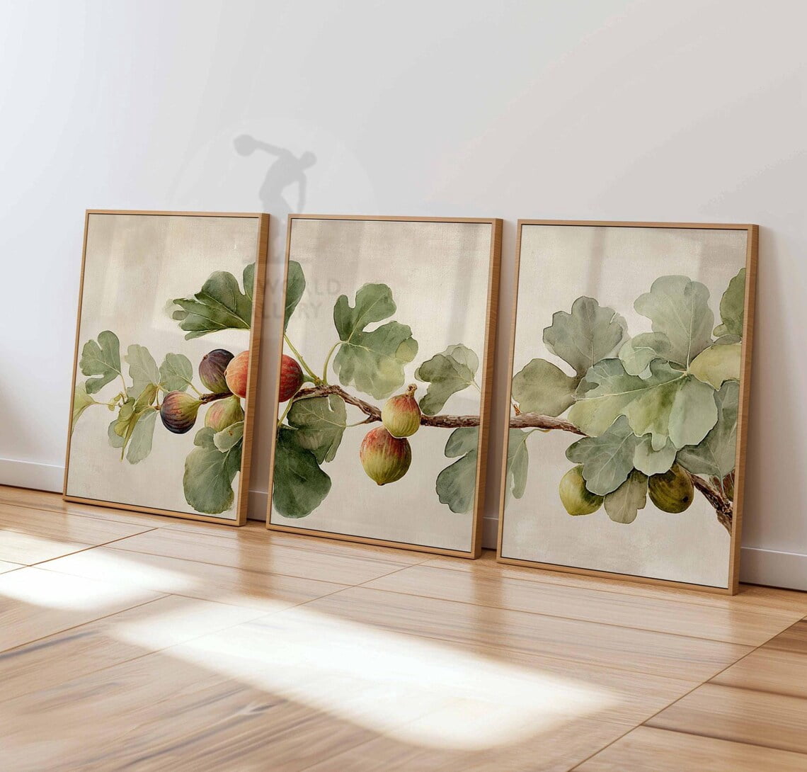 Vintage Fig Tree Rustic Botanical Wall Art Version Two Set 3 Unframed ...