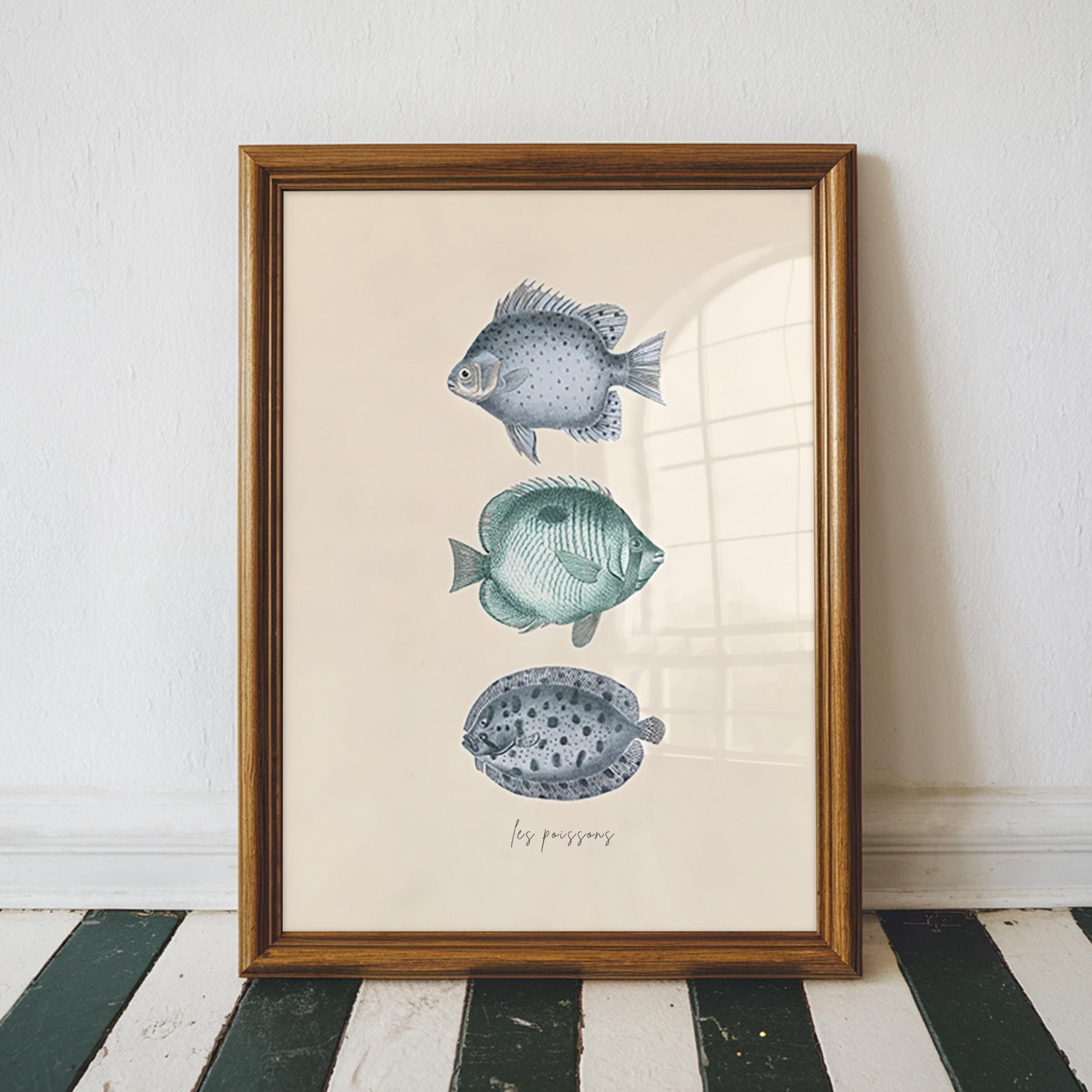 Vintage Fish Print Le Poisson Blue Fish Print Coastal Wall Art French ...