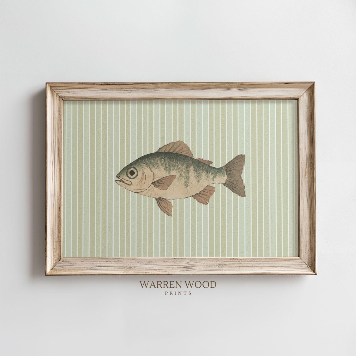Vintage Fish Print, Quirky Eclectic Wall Art, Light Green Striped ...
