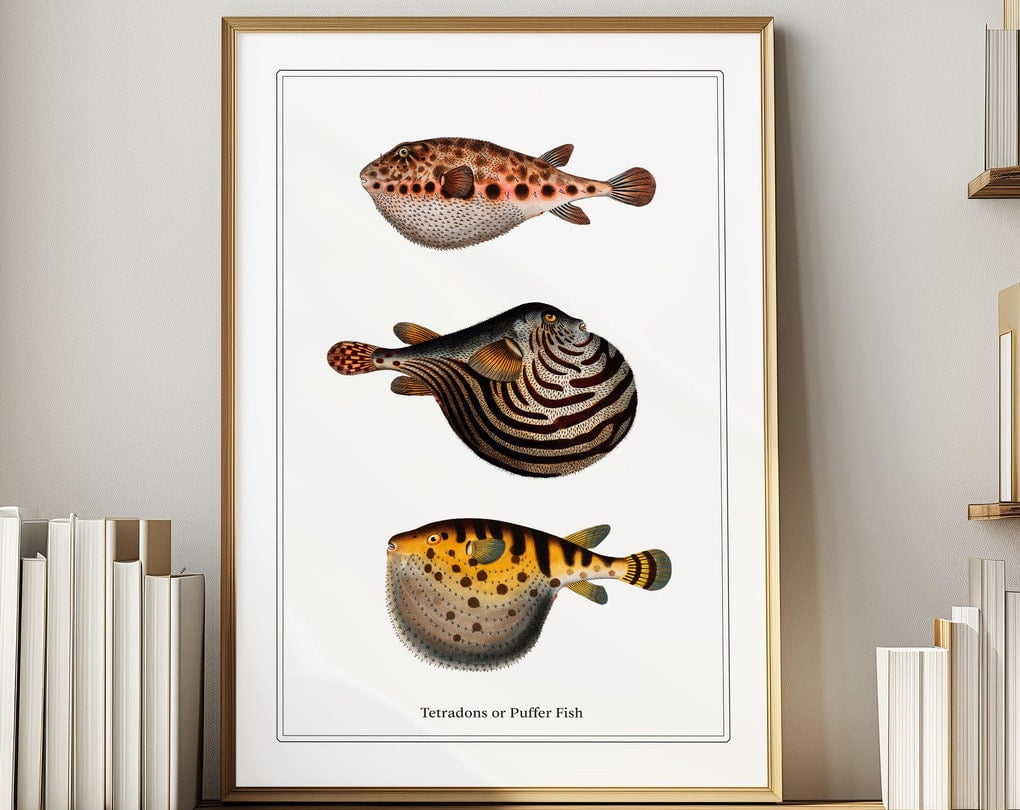 Vintage Fish Print Tropical Decor Wall Art Unique Gift For Eclectic ...