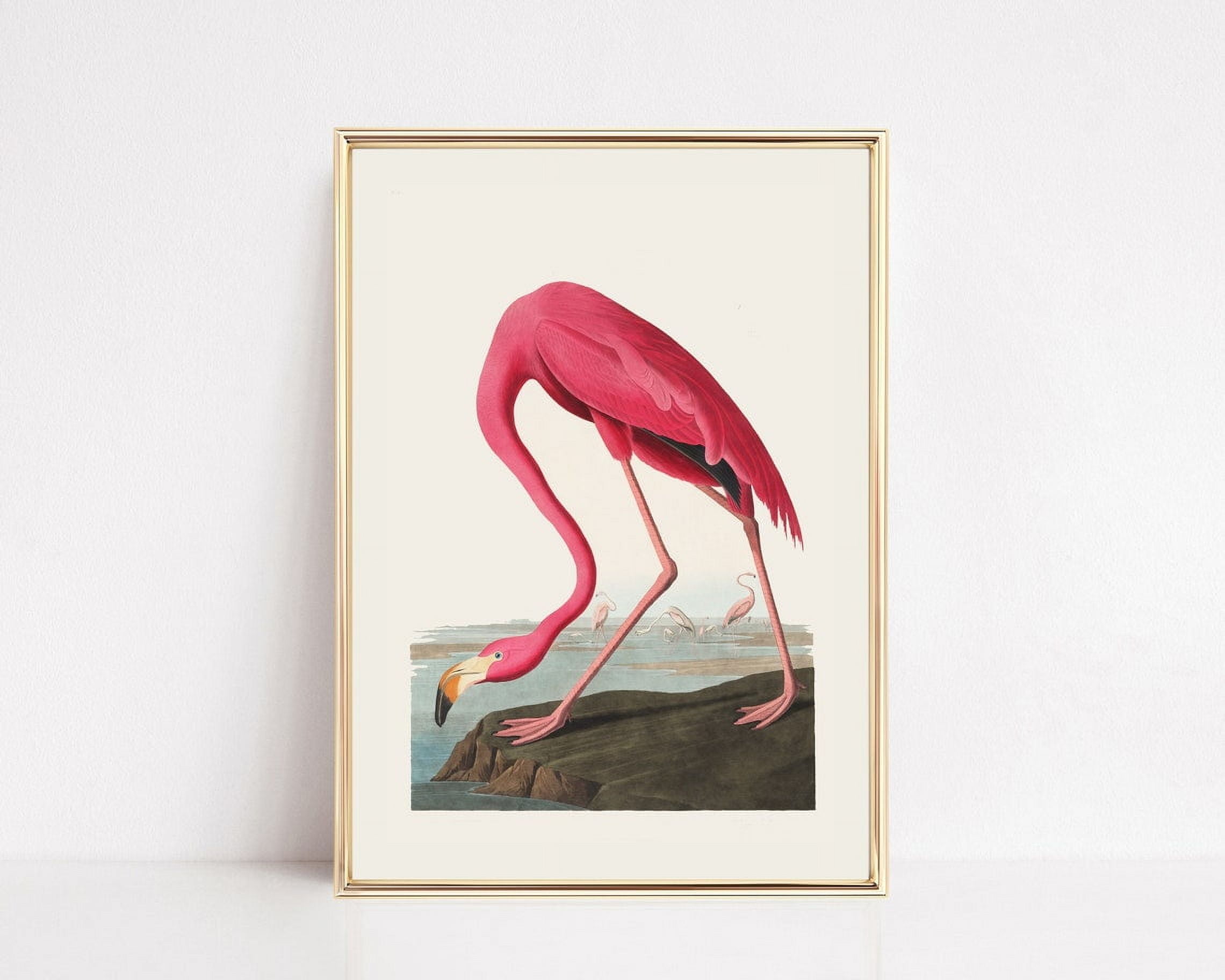 Vintage Flamingo Wall Art Aesthetic Pink Room Decor Retro Flamingo ...