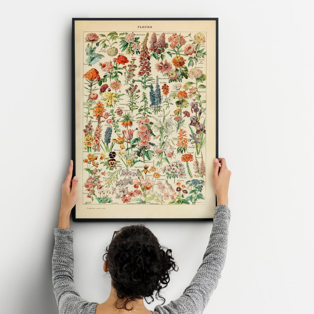 Vintage Flower Print, Adolphe Millot Poster, Botanical Print, Roman.Tic ...