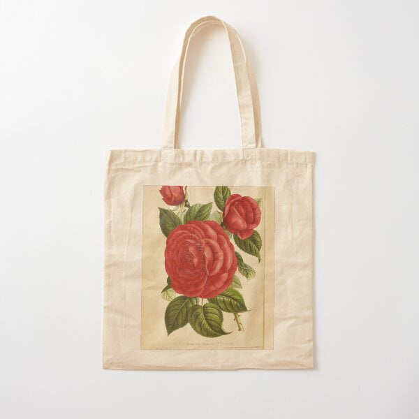 Vintage, Flowers, Rose, Botany, Botanical, Antique, Book, Garden ...