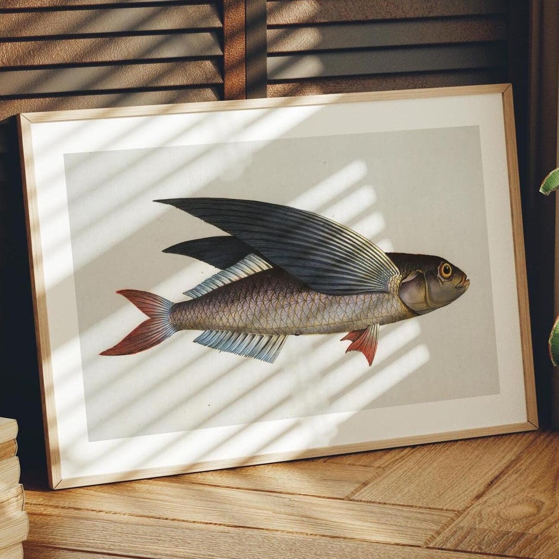Vintage Flying Fish Print Fishing Gift For Dad Fish Art Poster Home ...