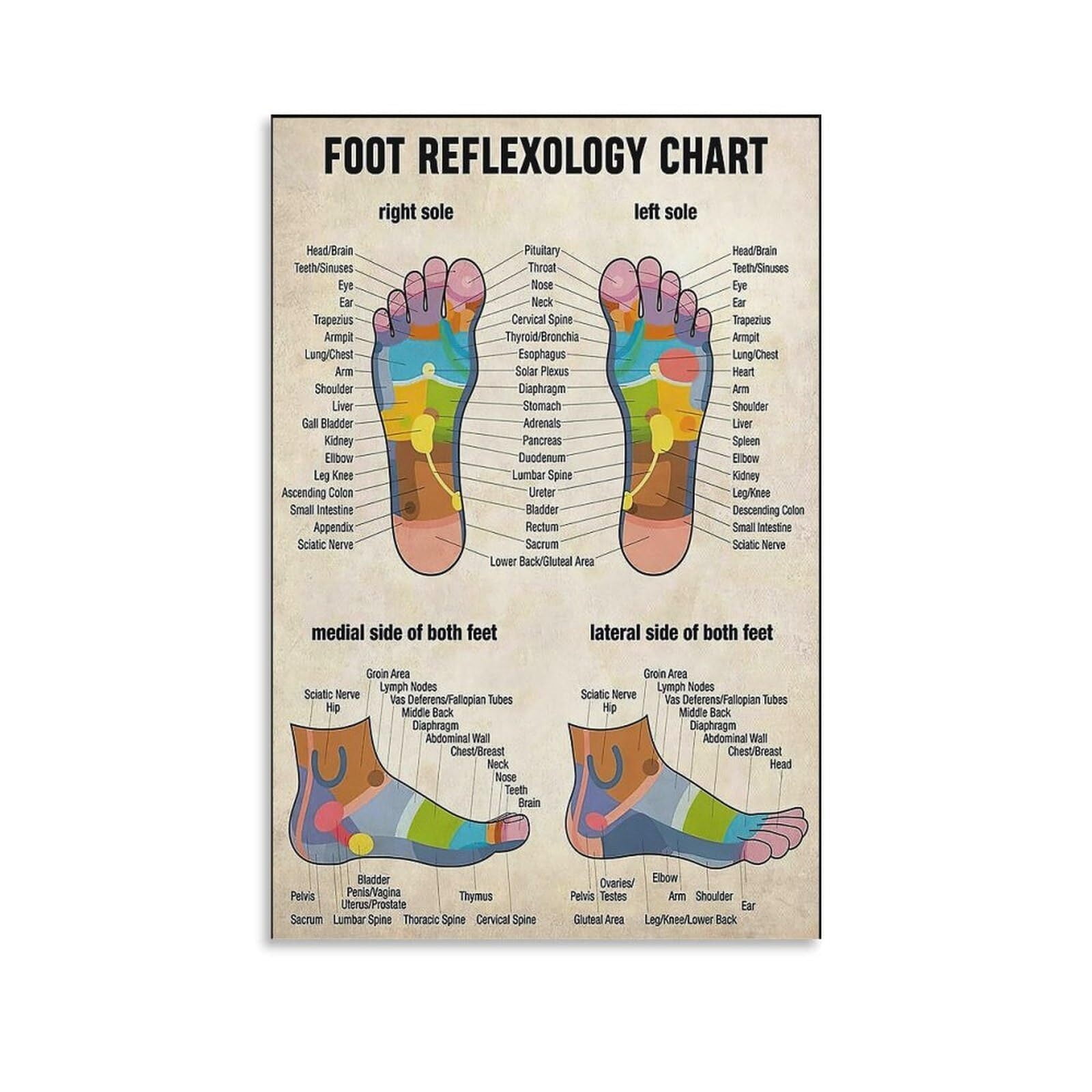 Vintage Foot Reflexology Chart Poster Massage Therapist Knowledge ...