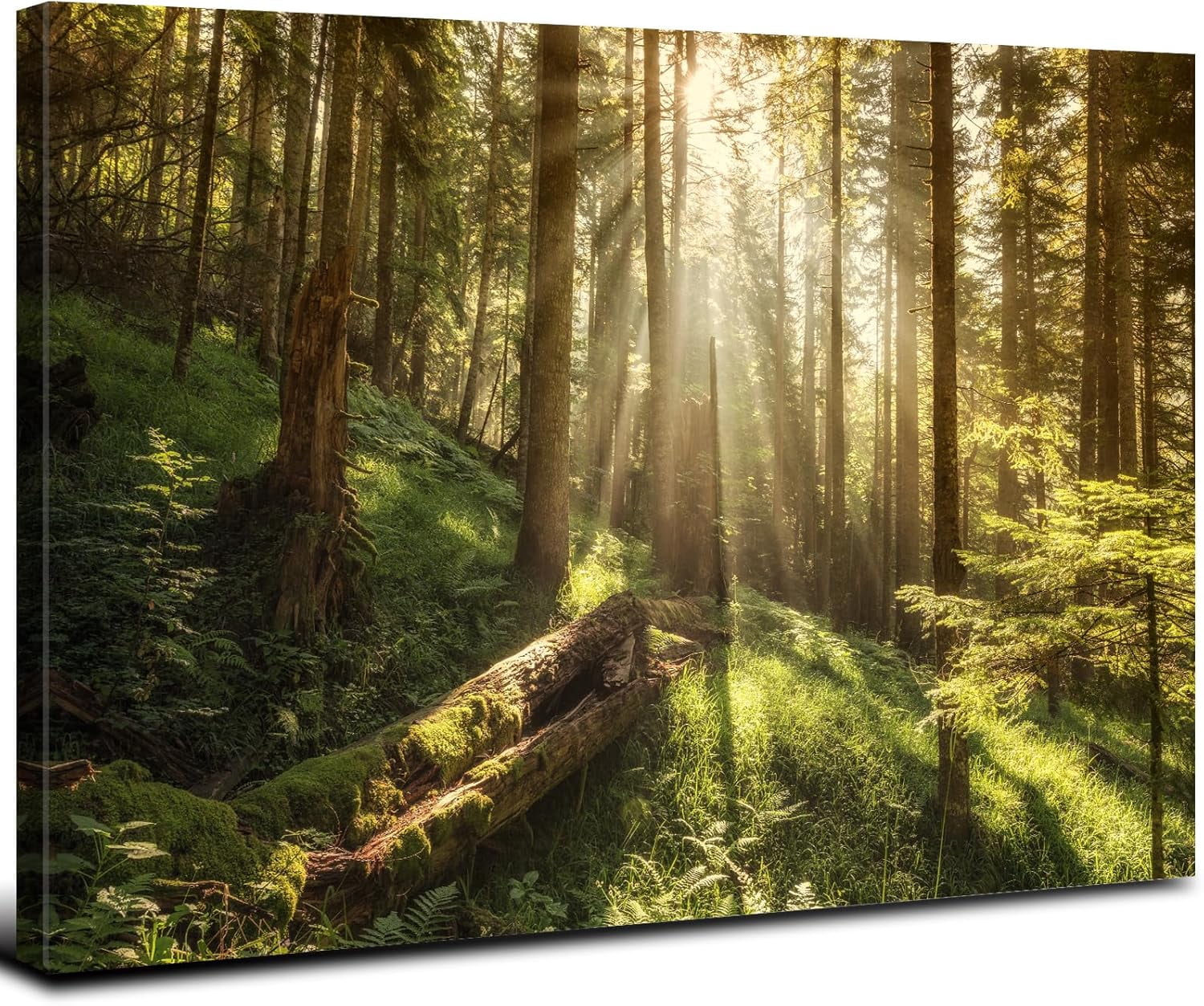 Vintage Forest Waterfall Wall Art National Park Picture for Living Room ...