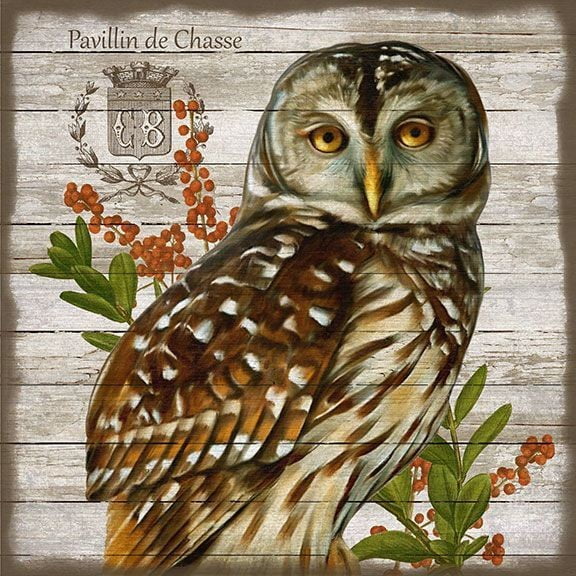 Vintage French Brown Owl Wall Art - Walmart.com