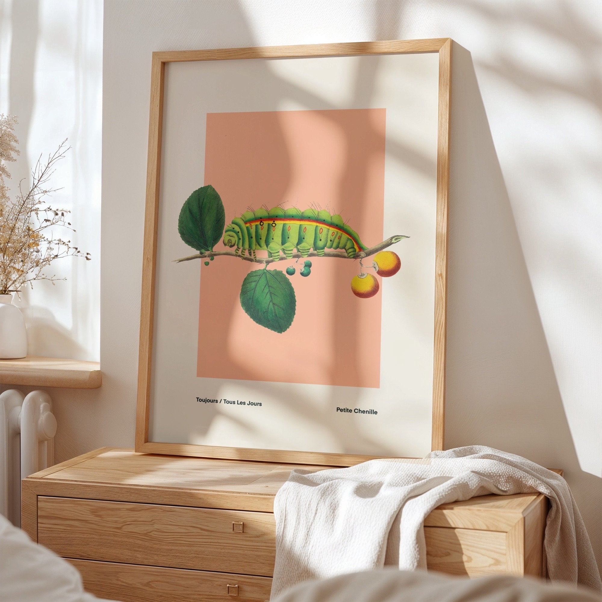 Vintage French Bug Print Warm Colors Boho Gallery Wall Art - Walmart.com