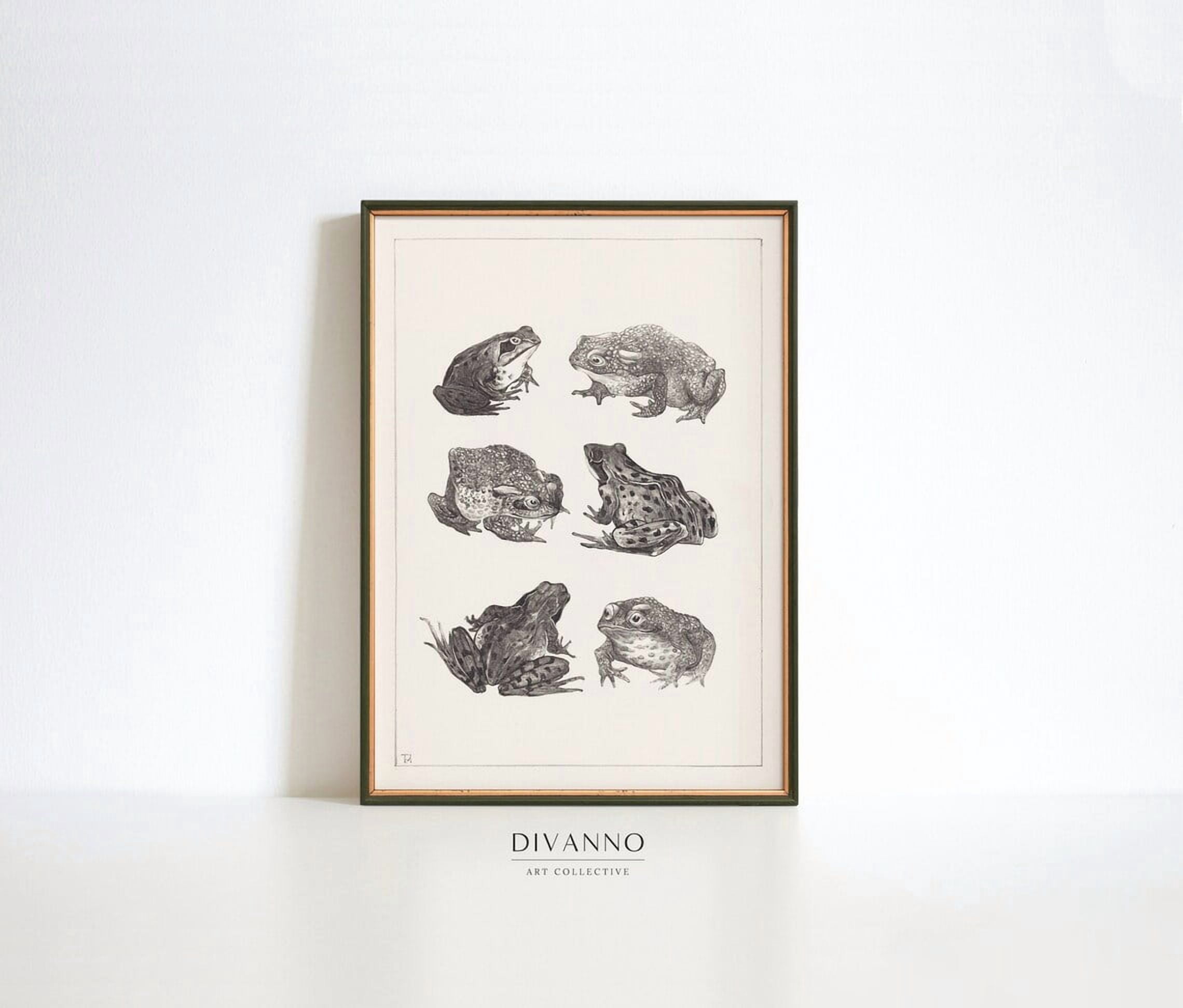 Vintage Frogs Toad Chart Poster, Unframed Size 8x12 - Walmart.com