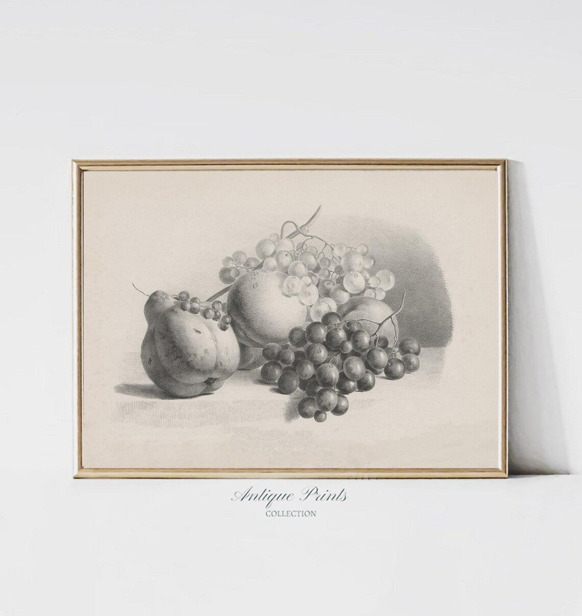 Vintage Fruit Sketch Art, Country Kitchen Decor, Still Life Drawing ...