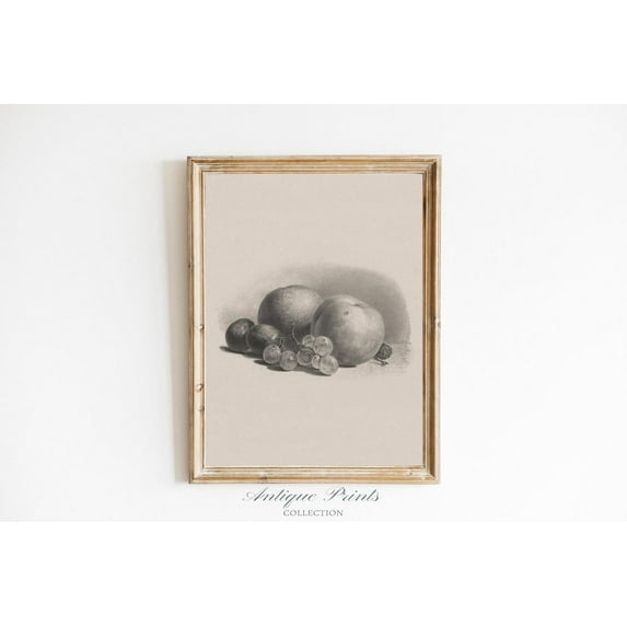 Vintage Fruit Sketch Art, Country Kitchen Decor, Vertical Still Life ...