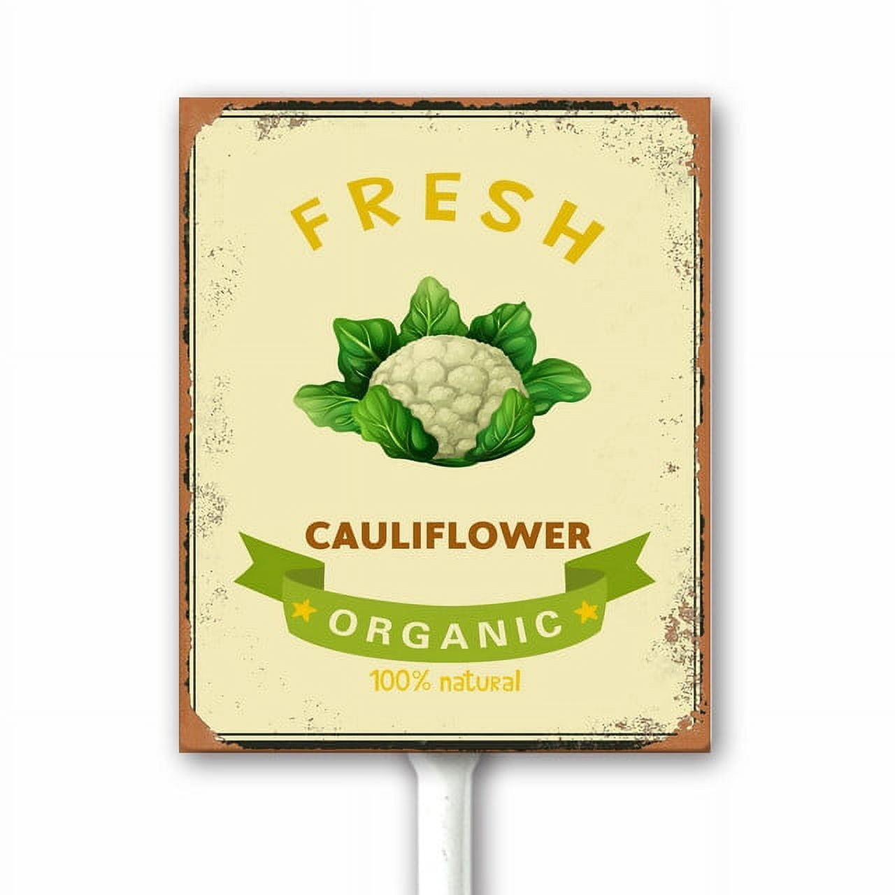 Vintage Garden Signs for Vegetable Cauliflower Metal Plant Markers for ...