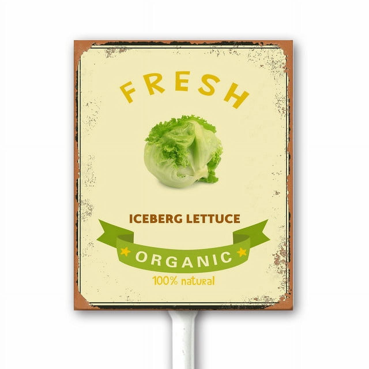 Vintage Garden Signs for Vegetable Iceberg Lettuce Metal Plant Markers ...