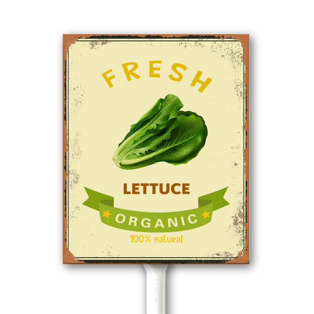 Vintage Garden Signs for Vegetable Lettuce Metal Plant Markers for ...