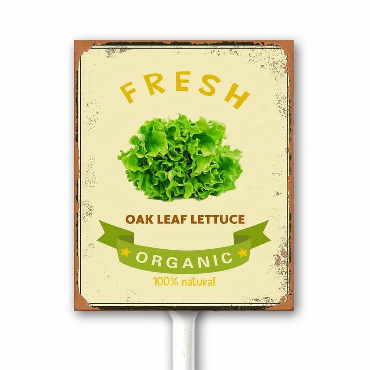 Vintage Garden Signs for Vegetable Oak Leaf Lettuce Metal Plant Markers ...