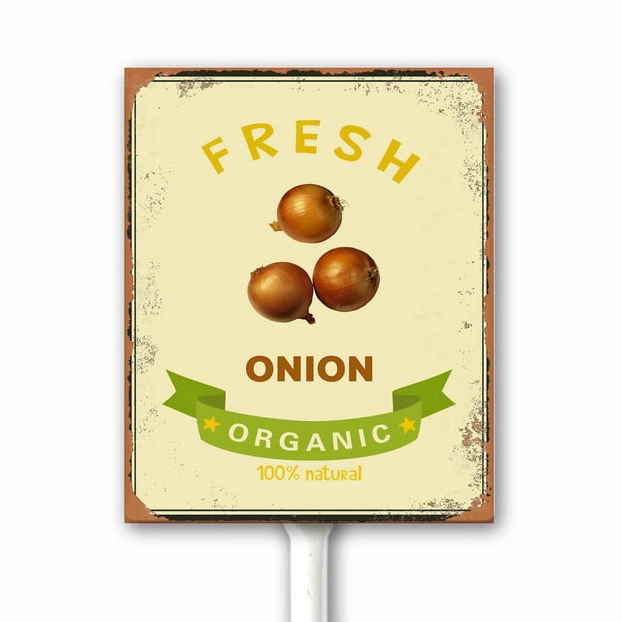 Vintage Garden Signs for Vegetable Onion Metal Plant Markers for ...