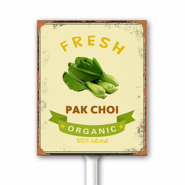 Vintage Garden Signs for Vegetable Pak Choi Metal Plant Markers for ...