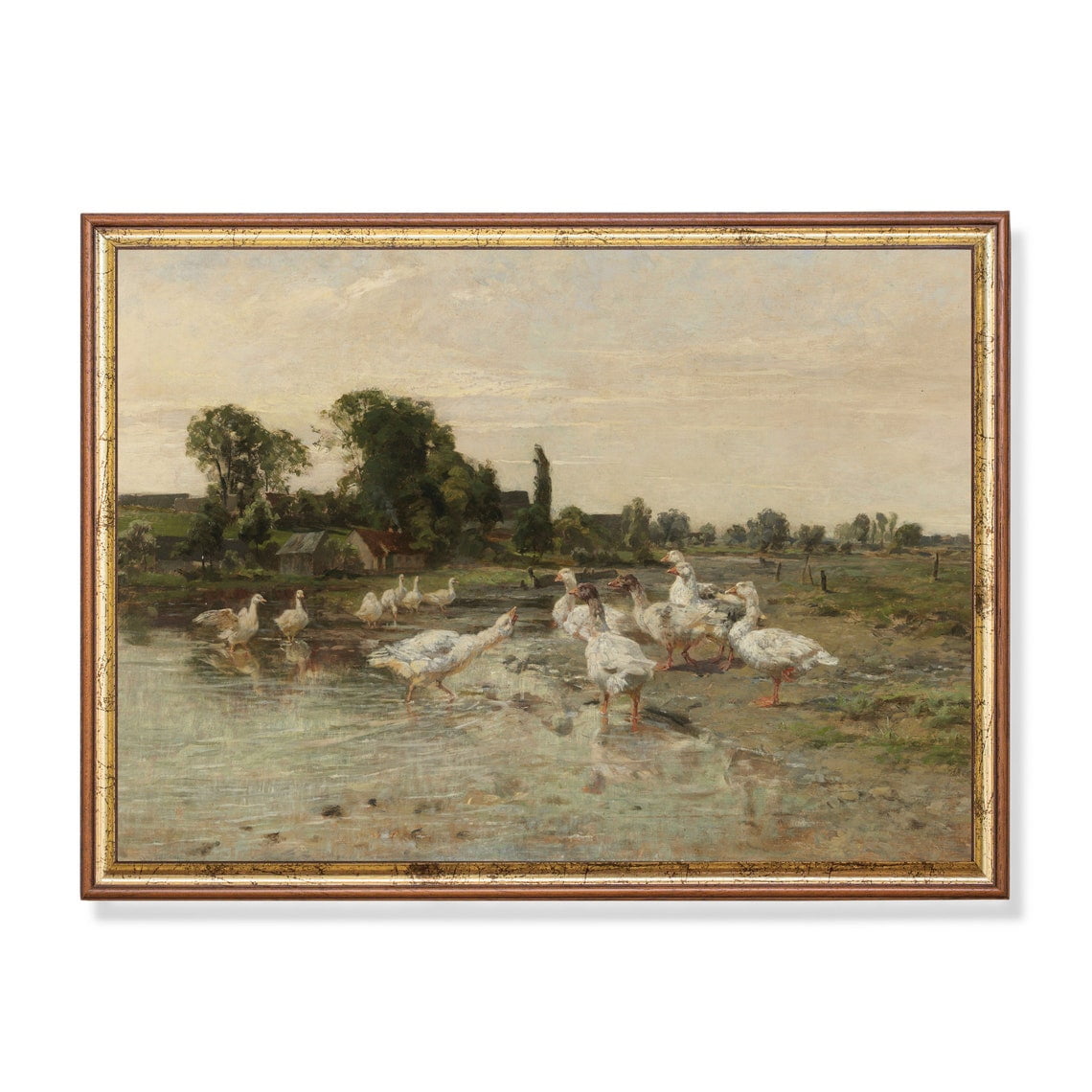 Vintage Geese Poster Antique Birds Wall Art UNFRAMED Poster, 12x18 ...