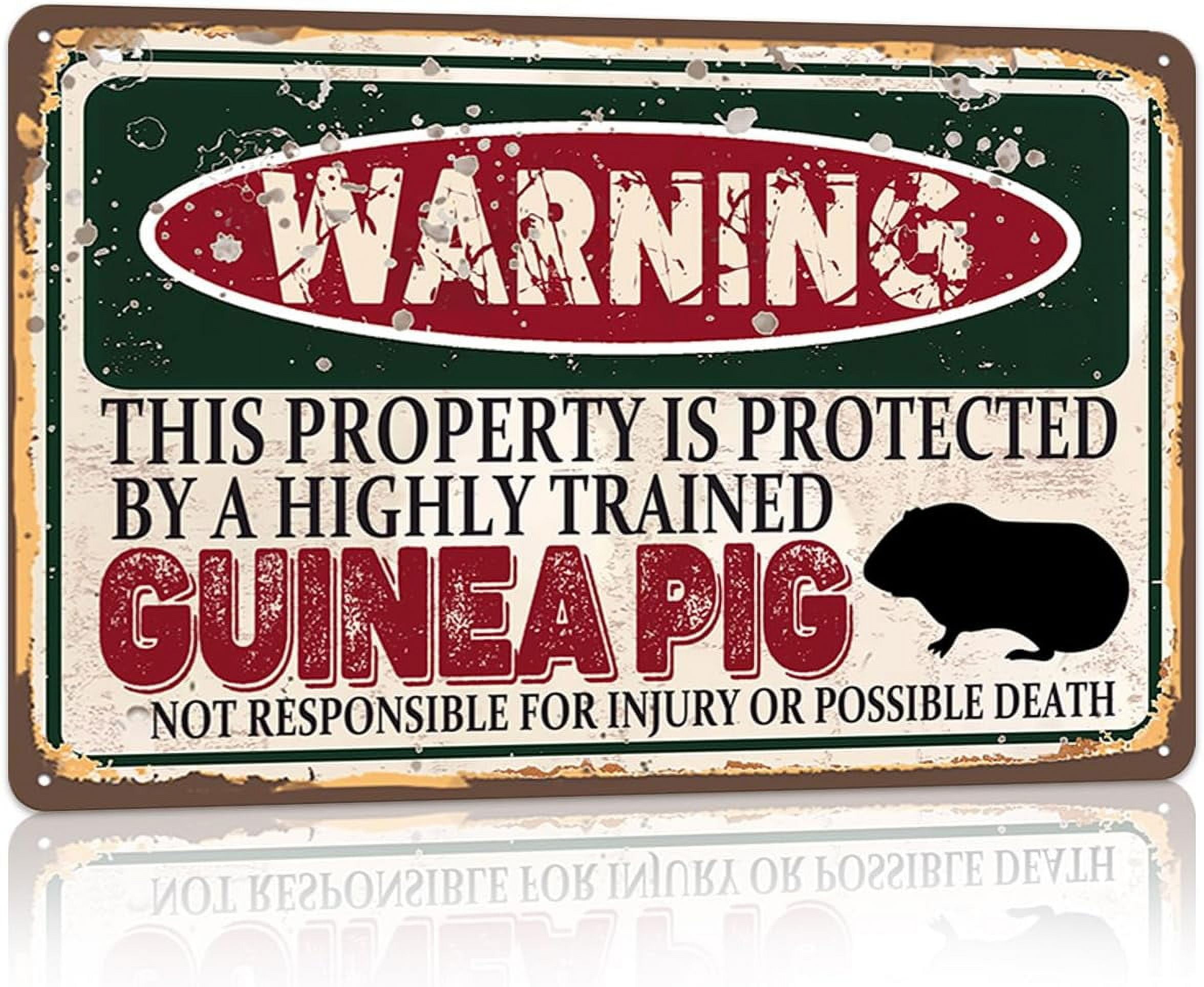 Vintage Guinea Pig Metal Sign， Warning this property is protected bY a ...