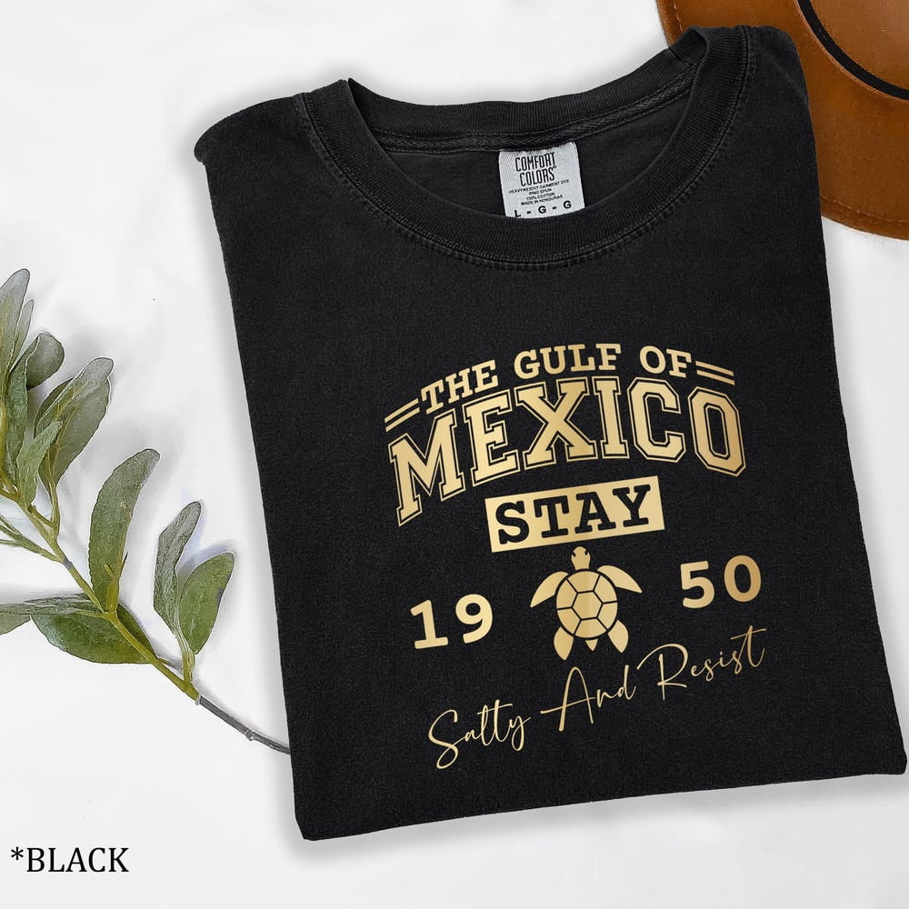 Vintage Gulf Of Mexico, Gulf Coast, Mexico Beach, Golfo De Mexico, Gulf ...