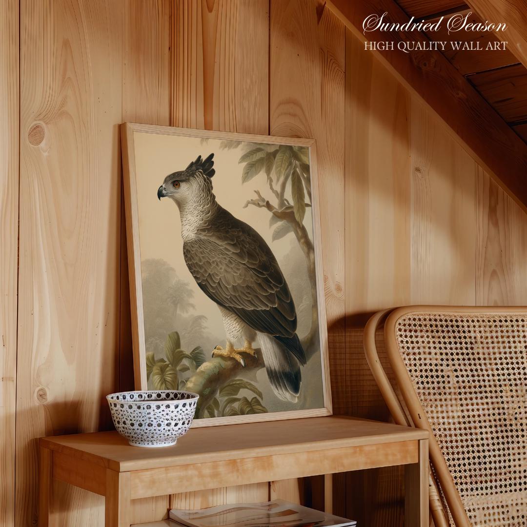 Vintage Harpy Eagle Art Print, Antique Rainforest Raptor Illustration ...