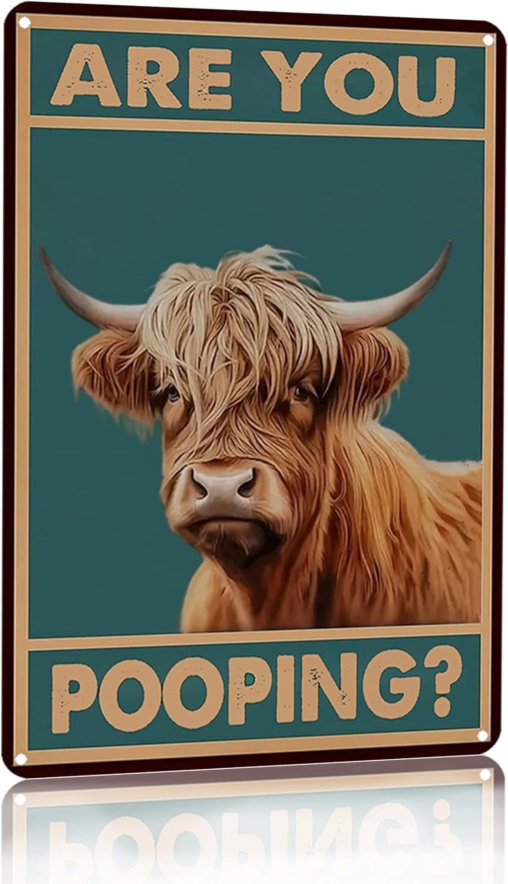 Vintage Highland Cow Are You Pooping Funny Tin Sign for Bathroom Toilet ...