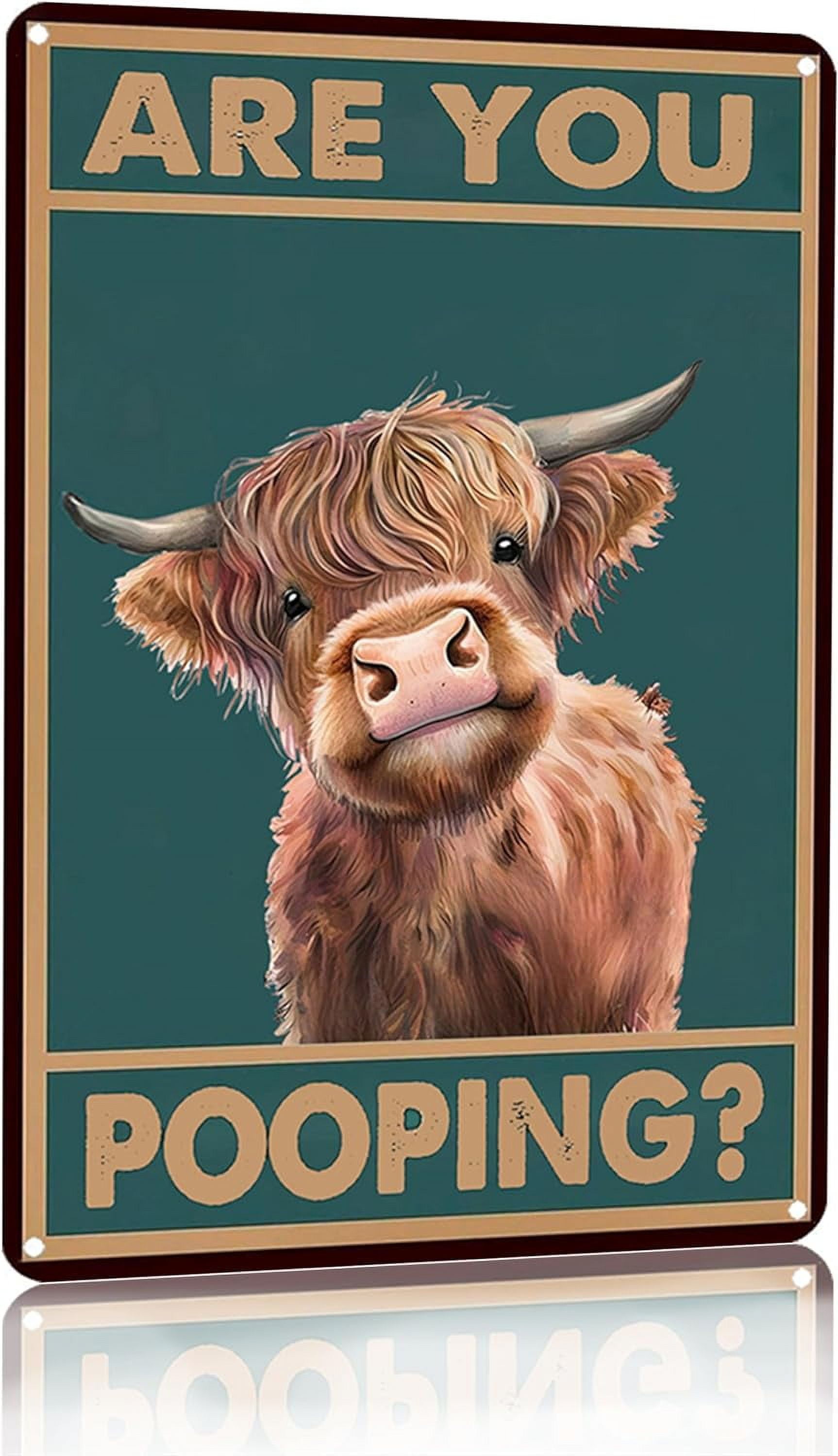 Vintage Highland Cow Tin Sign: Funny "Are You Pooping?" Bathroom Wall ...