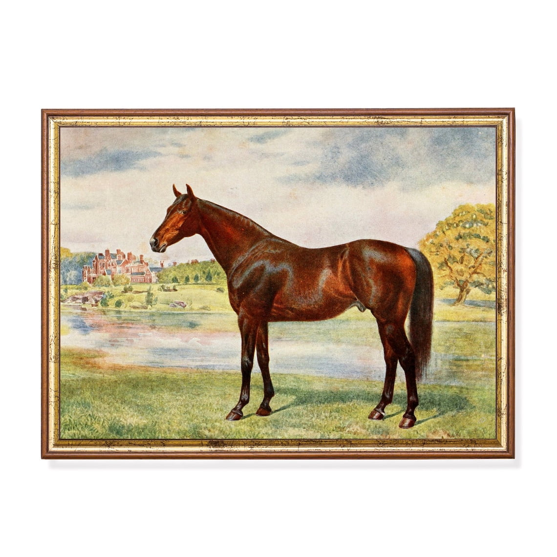 Vintage Horse Art Print Poster English Equestrian, Size 12x18 UNFFRAMED ...