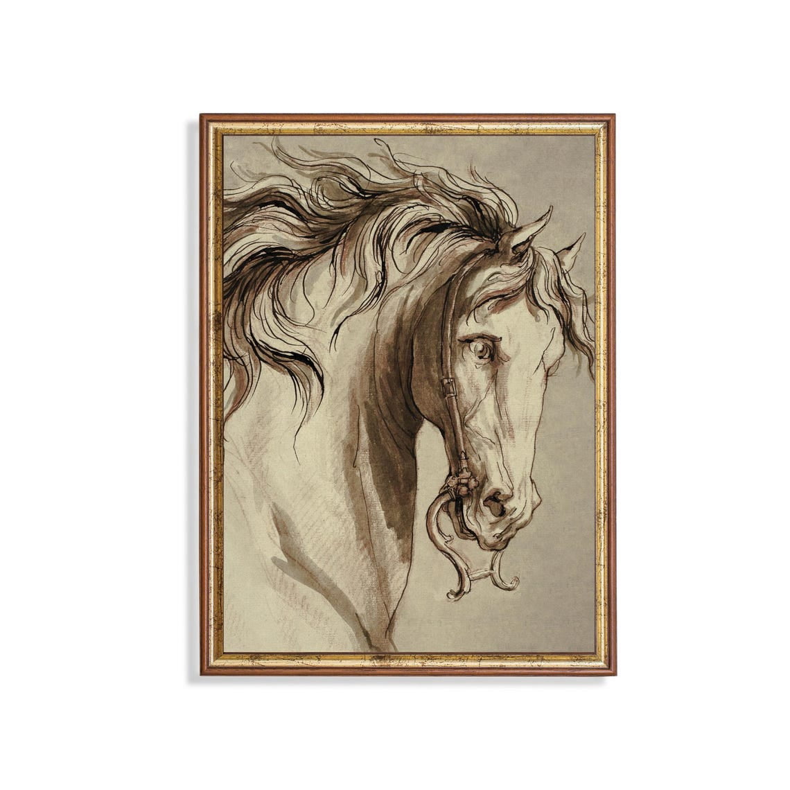 Vintage Horse Portrait Sketch Antique Drawing Art Poster UNFRAMED ...
