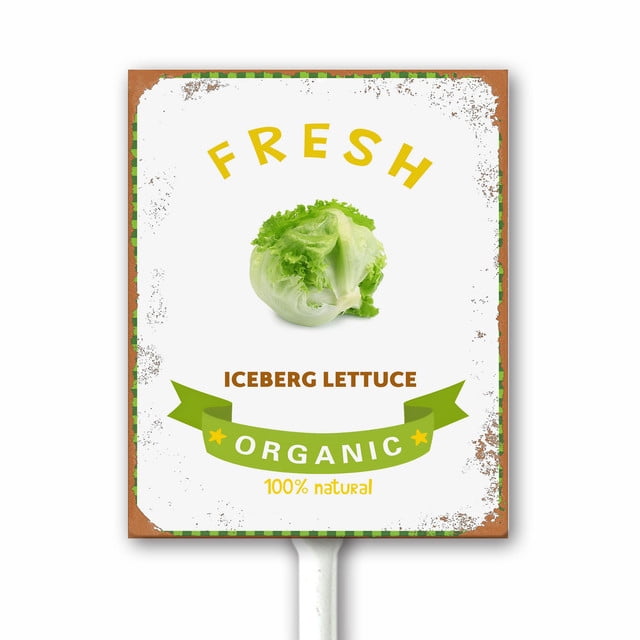 Vintage Iceberg Lettuce Vegetable Garden Signs Metal Yard Sign With ...