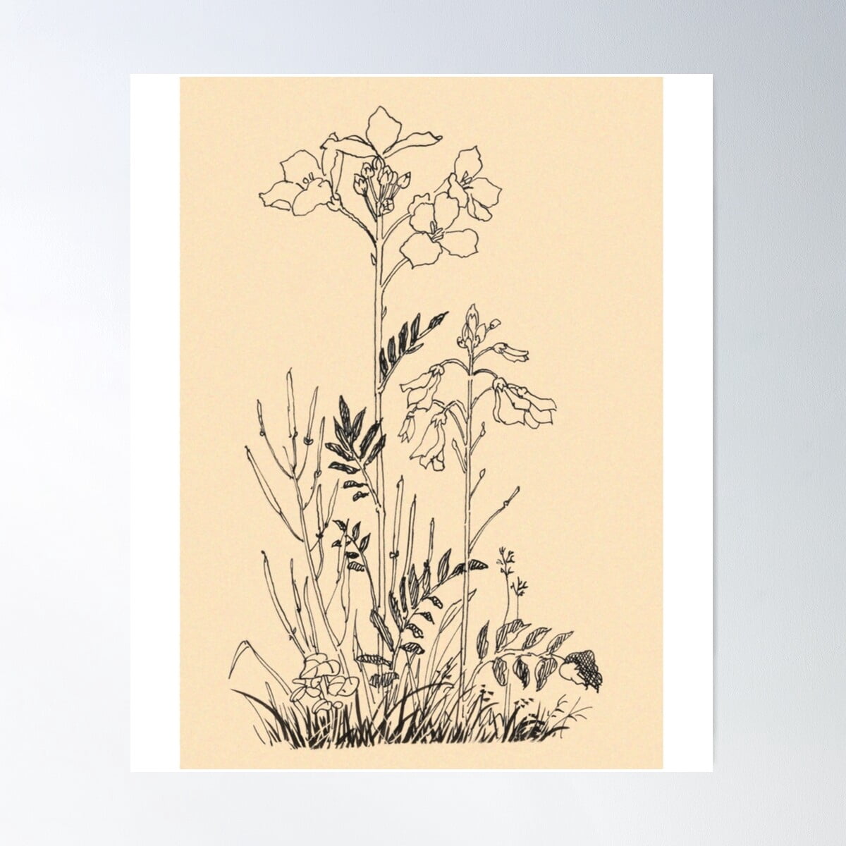 Vintage Illustration, Cottage Core Poster Wall Art, Modern Wall Decor ...
