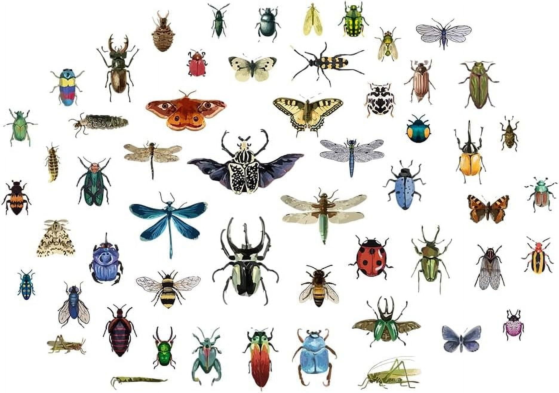 Vintage Insects Scrapbook Wall Stickers Taxidermy Butterfly Decals Moth ...