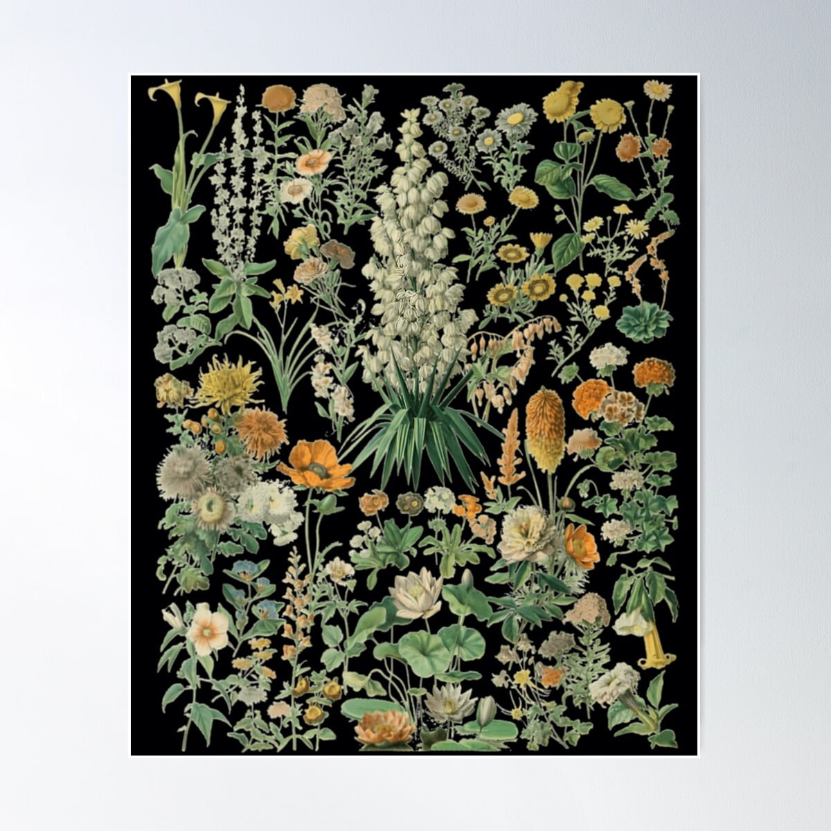 Vintage Inspired Flower Botanical Chart Poster Wall Art, Modern Wall ...
