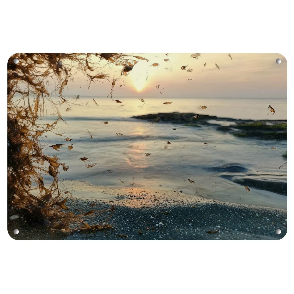 Vintage-Inspired Metal Wall Sign - 8x12 Inches, Frameless, Perfect for ...