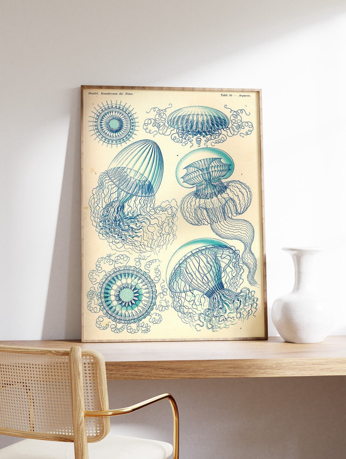 Vintage Jellyfish Poster, Ocean Art, Wildlife Print, Coral Art, Nature ...