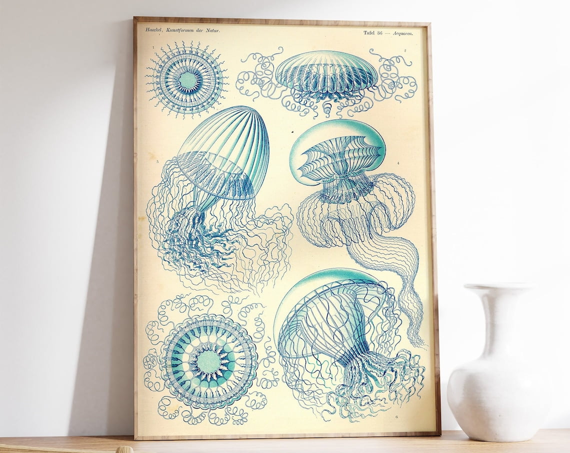 Vintage Jellyfish Poster, Ocean Art, Wildlife Print, Coral Art, Nature ...