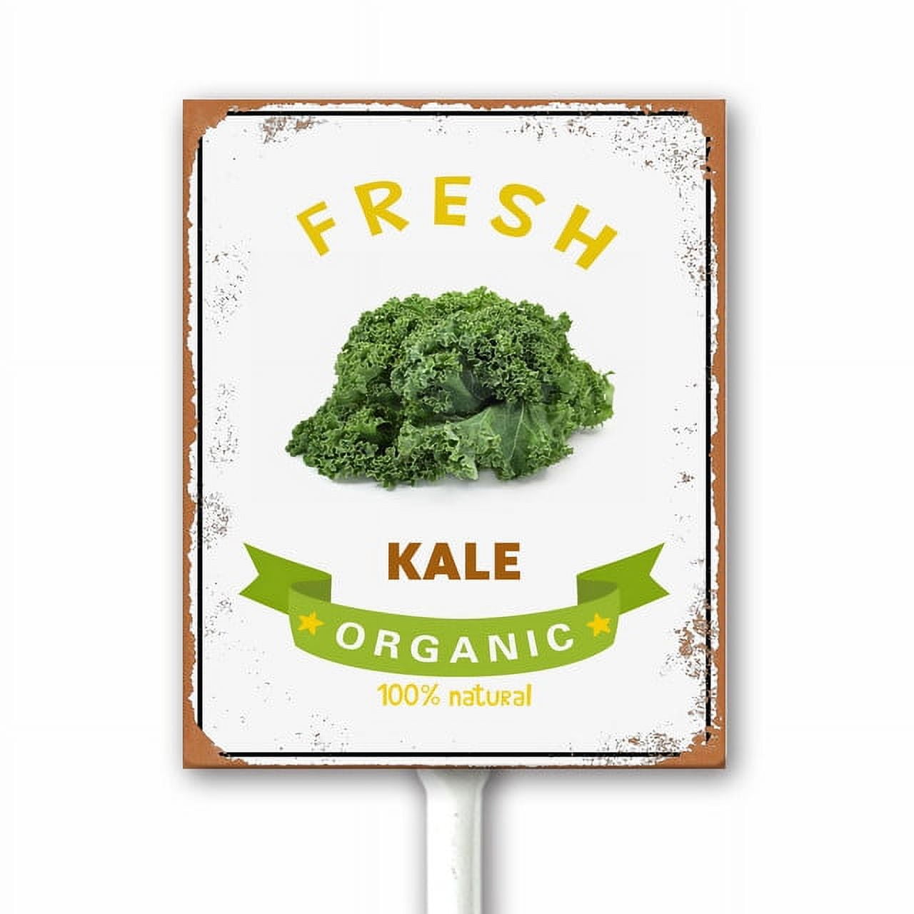 Vintage Kale Metal Sign Outdoor Plant Label Funny Vegetable Garden Sign ...