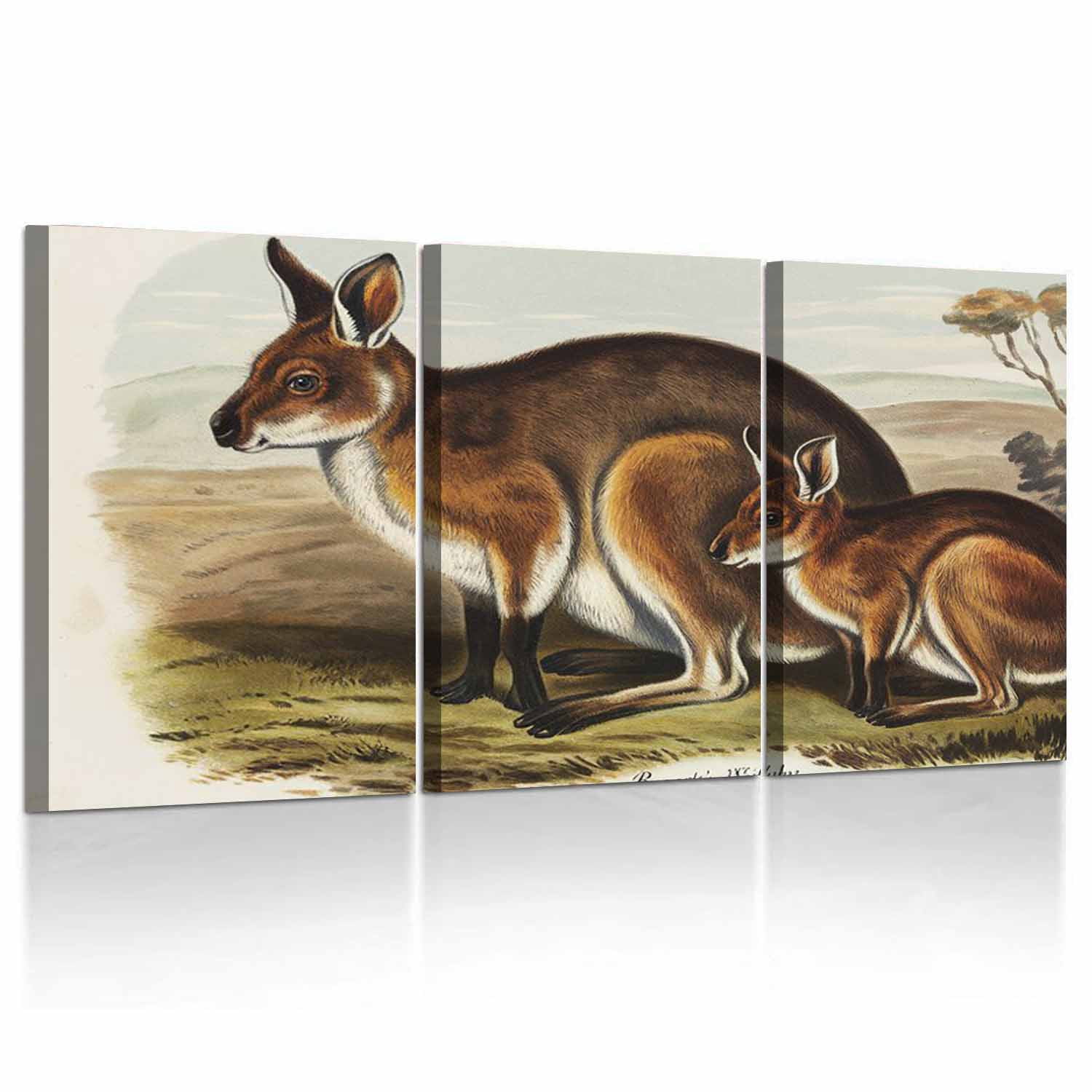 Vintage Kangaroo Wall Art Canvas Print for Bedroom Living Room Home ...