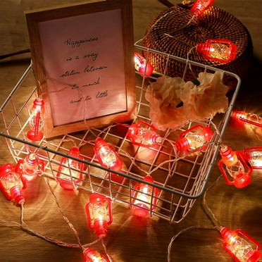 Decorative LED String Lights Dimmable with Remote Control, USB Powered ...