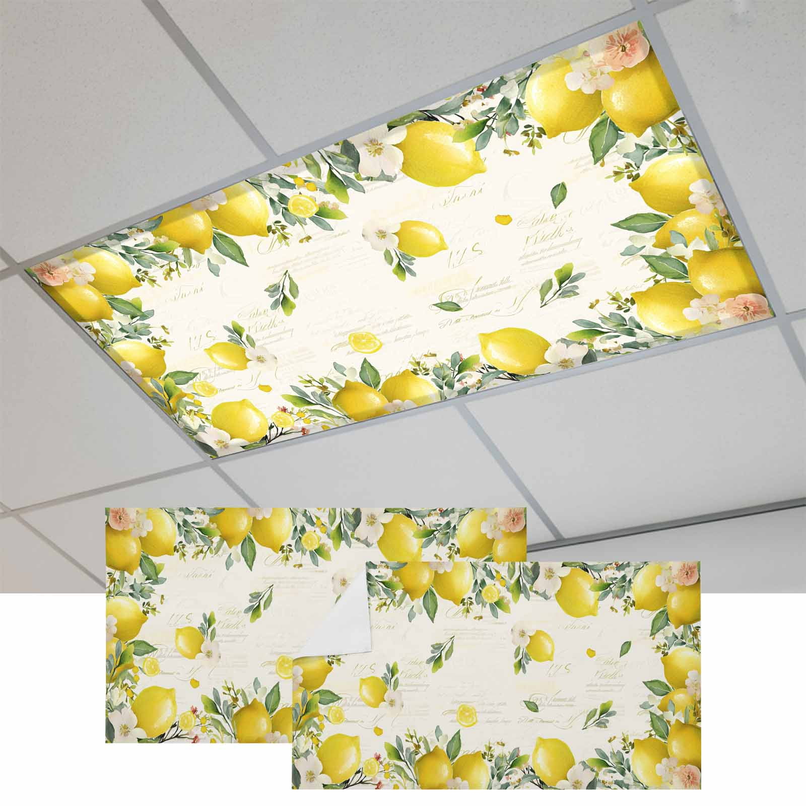 Vintage Lemon Magnetic Fluorescent Light Covers for Ceiling Lights ...