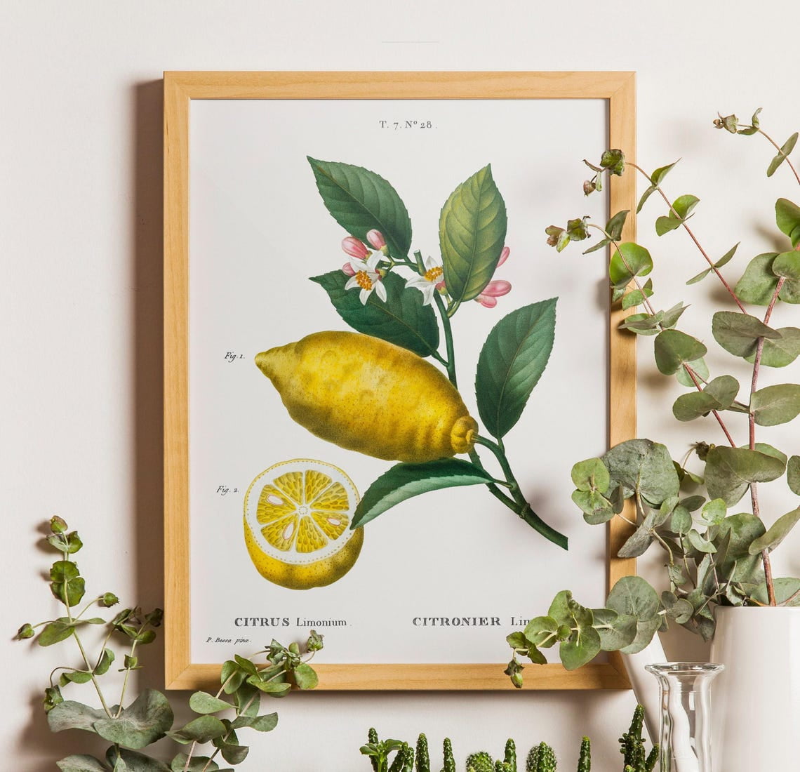 Vintage Lemon Poster, Lemon Botanical Poster, Lemon Botanical Art ...