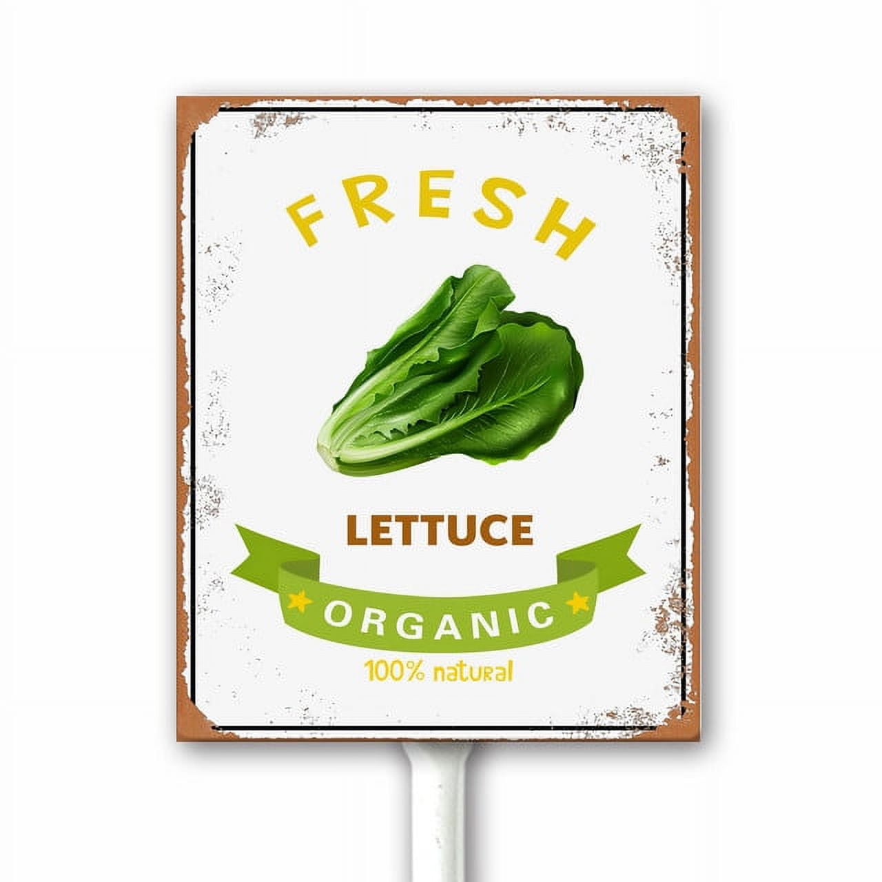 Vintage Lettuce Metal Sign Outdoor Plant Label Funny Vegetable Garden ...