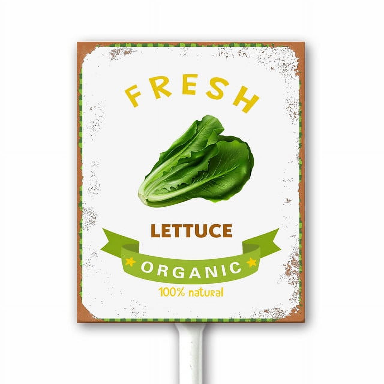 Vintage Lettuce Vegetable Garden Signs Metal Yard Sign With Stake ...