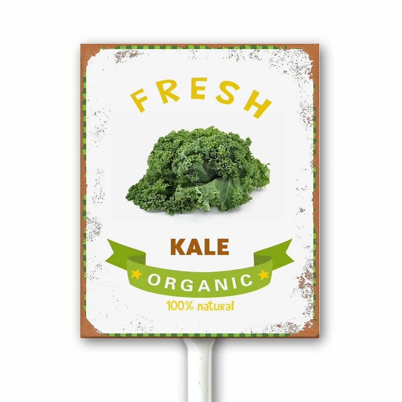 Vintage Look Kale Vegetable Garden Signs Metal Yard Sign With Stake ...