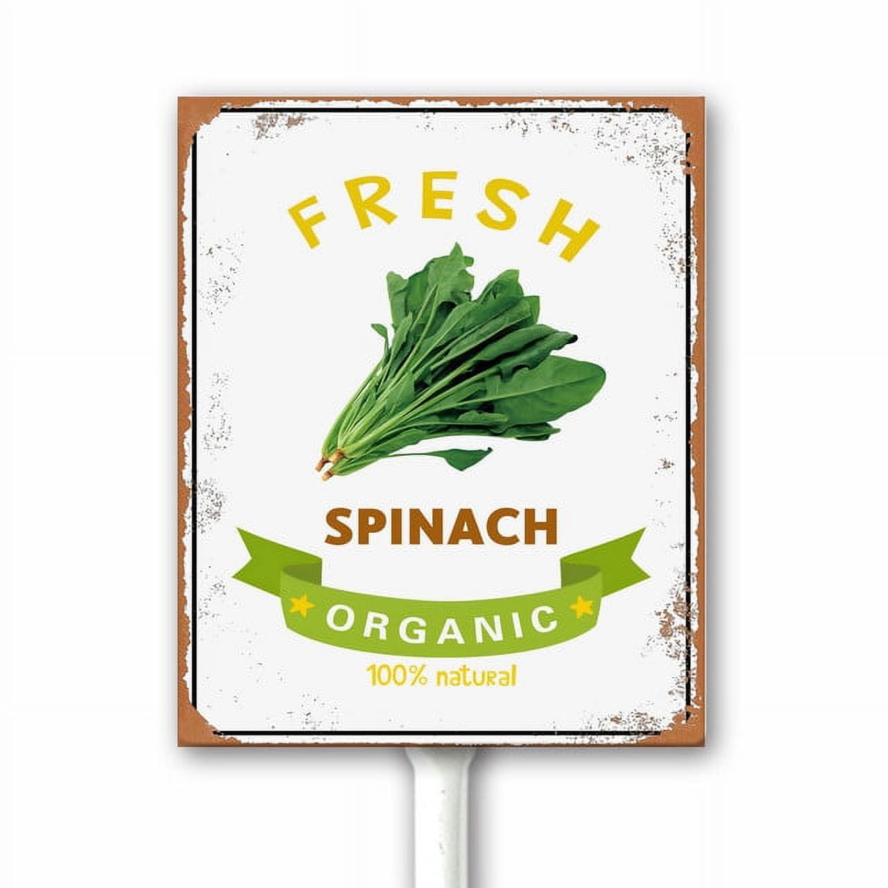 Vintage Look Spinach Metal Sign Outdoor Plant Label Funny Vegetable ...