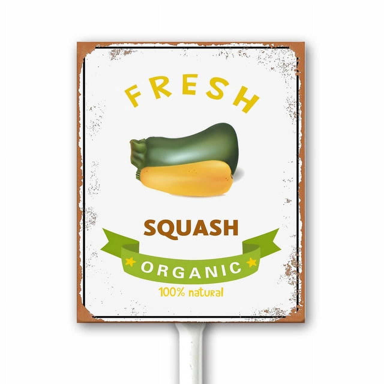 Vintage Look Squash Metal Sign Outdoor Plant Label Funny Vegetable ...