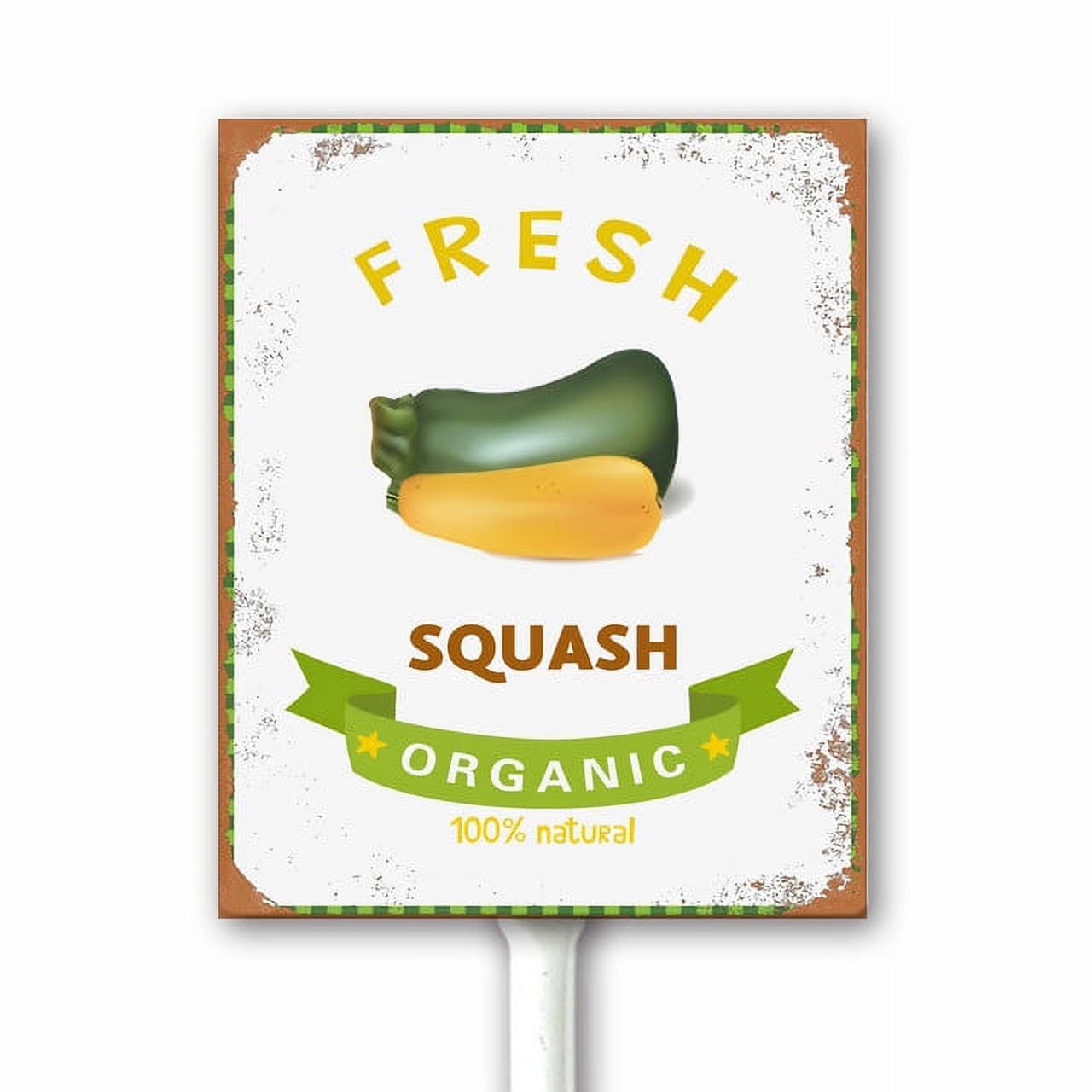 Vintage Look Squash Vegetable Garden Signs Metal Yard Sign With Stake ...