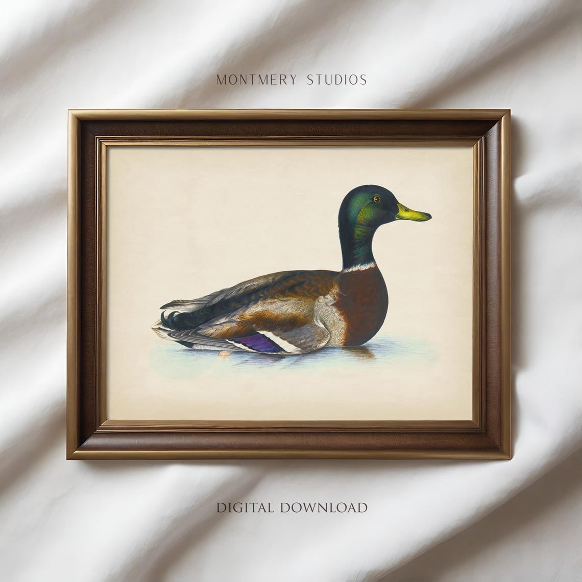 Vintage Mallard Duck Print Poster, Mallard Nursery Wall Art Poster ...